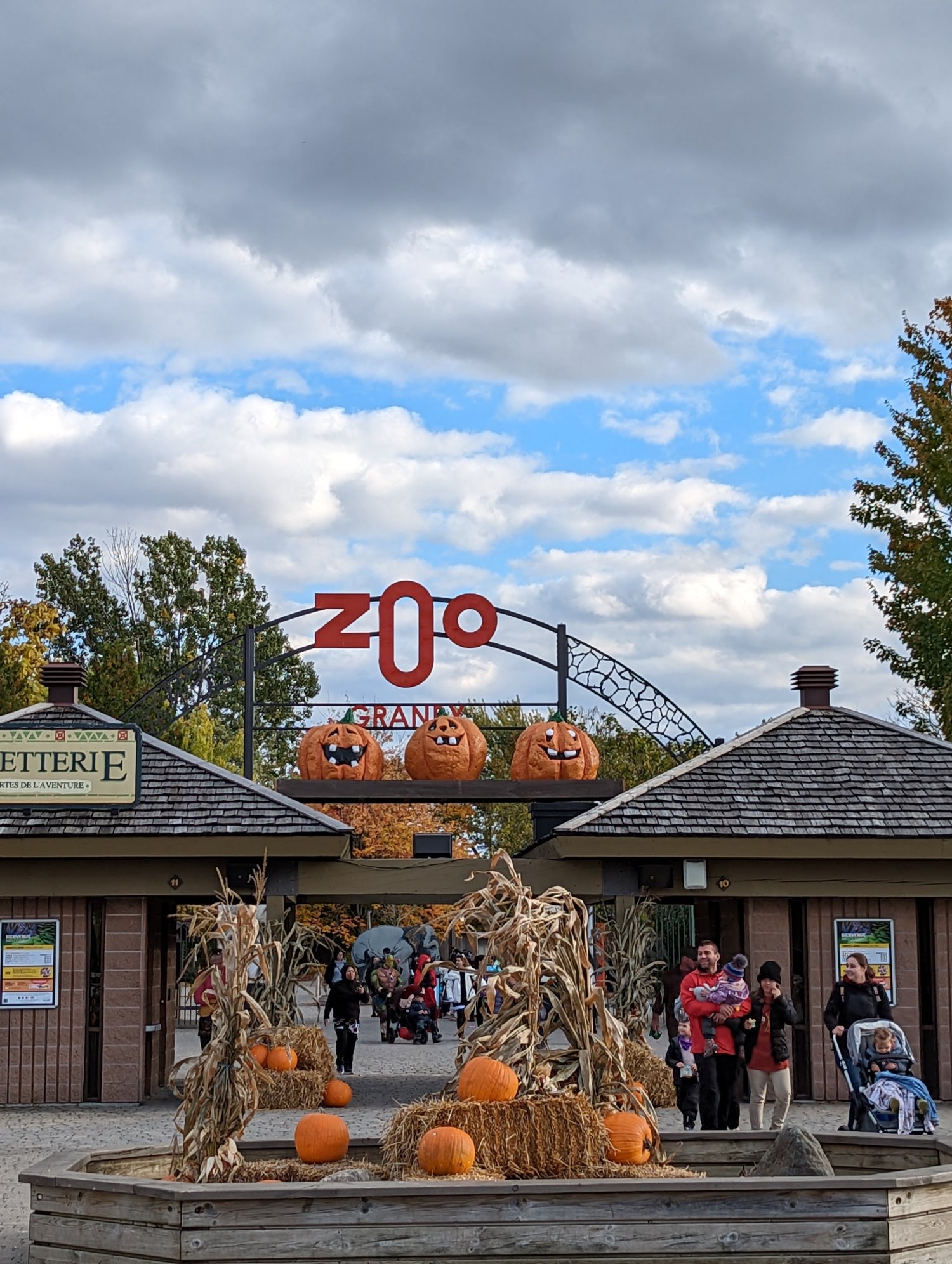 Zoo de Granby: a must-visit place on the south shore - Kaiacode